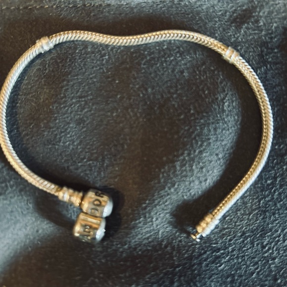 Pandora | Jewelry | Pandora Silver Snake Charm Necklace And Bracelet ...